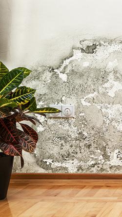 How To Stop Water Dampness & Seepage in Bedroom Walls