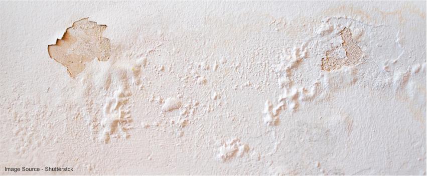 What Causes Damp Walls and How to Prevent Dampness?